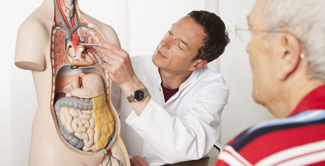 Viscerosomatic Reflex: Distressed Internal Organs and Back Pain