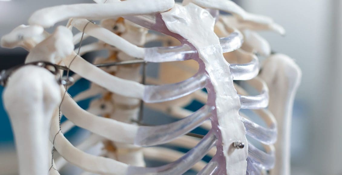 Rib Misalignment and Dysfunction: Chiropractic Care